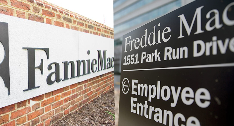 The Best Penny Stocks To Buy This Month? FMCC & FNMA