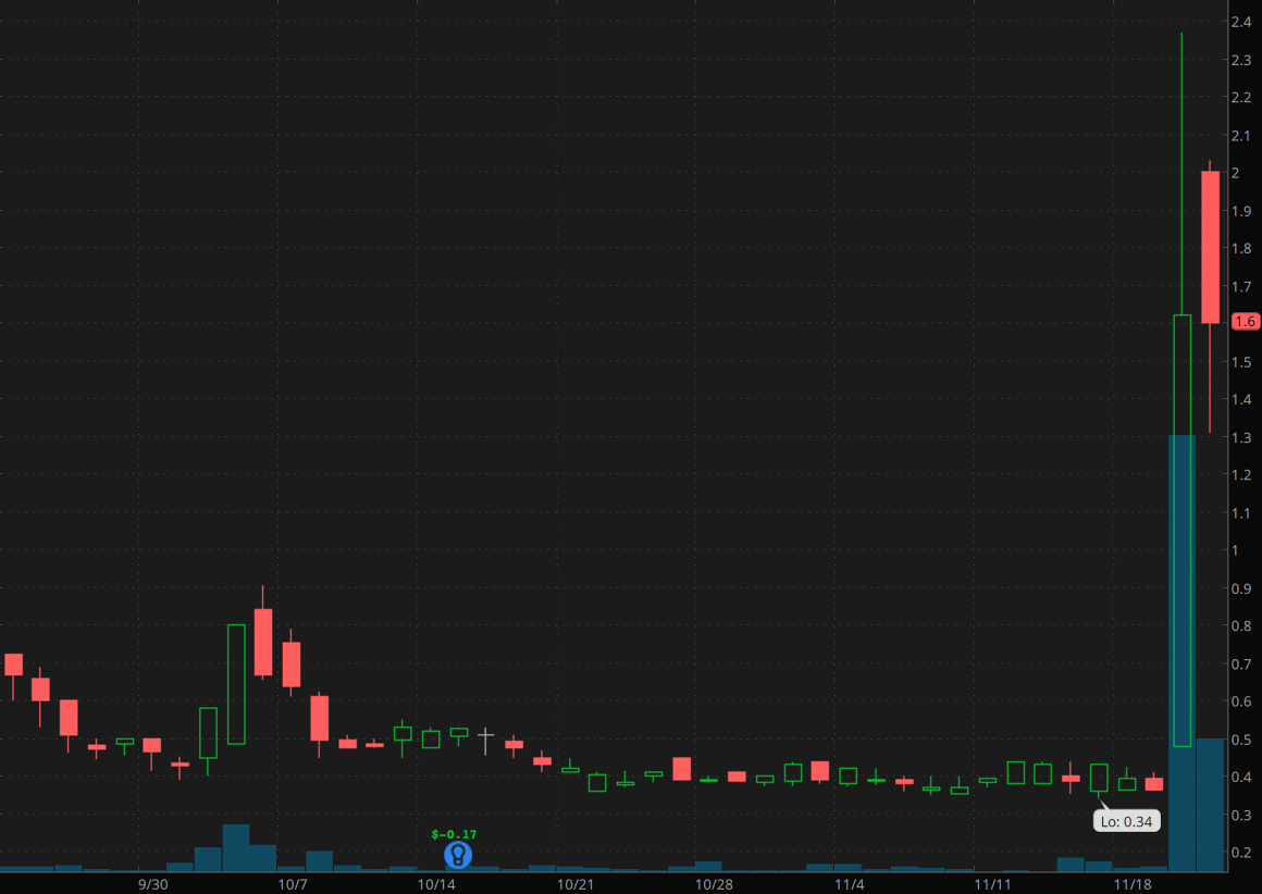 5 Penny Stocks To Buy Or Sell Before December; 1 Up 394% This Year