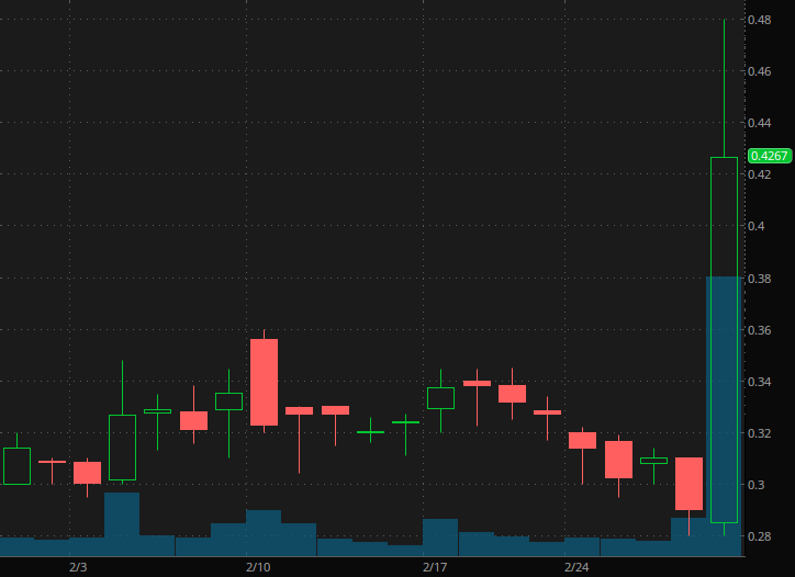 Penny Stocks To Buy [or sell] Before Next Week; 1 Up 57% In February