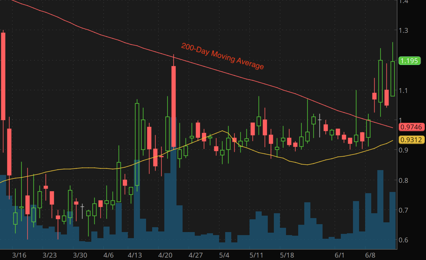 Volatile Penny Stocks To Watch Right Now; 1 Up 390% In June