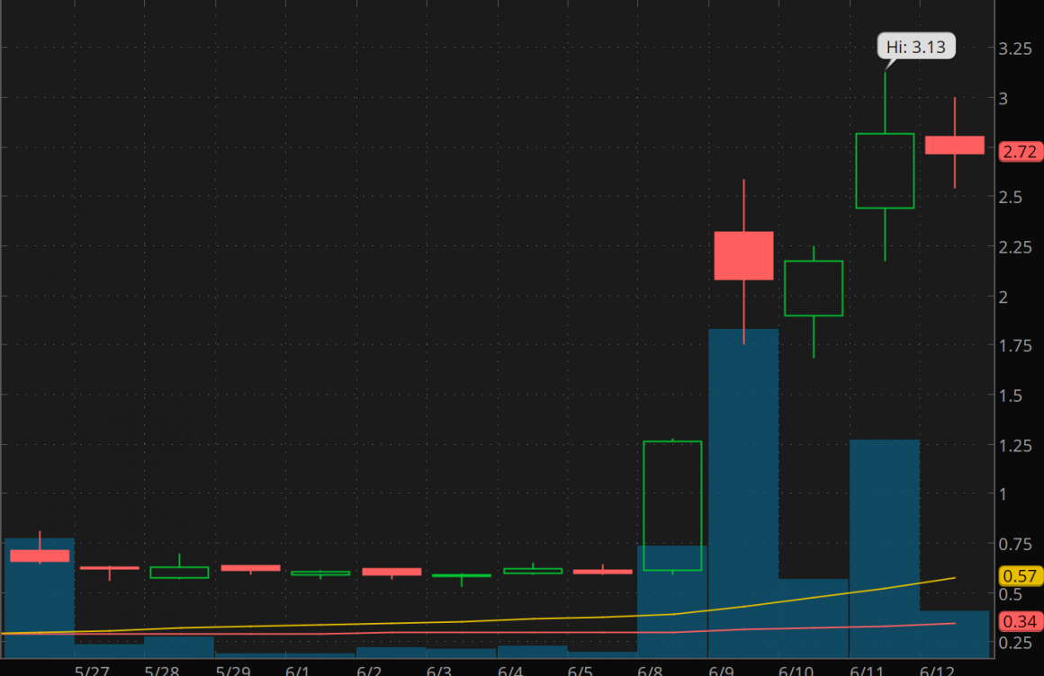 Volatile Penny Stocks To Watch Right Now; 1 Up 390% In June