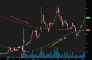 What Are Penny Stocks To Buy Or Avoid During The Pandemic?
