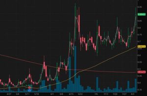 3 Penny Stocks On Robinhood Seeing A Surge Of Interest In August 2020