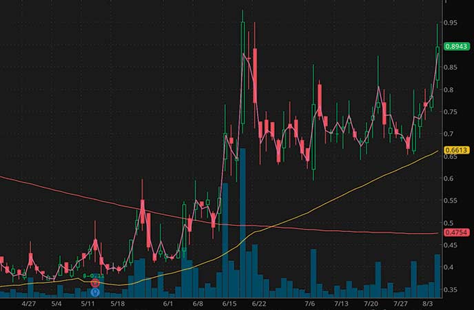 3 Penny Stocks On Robinhood Seeing A Surge Of Interest In August 2020