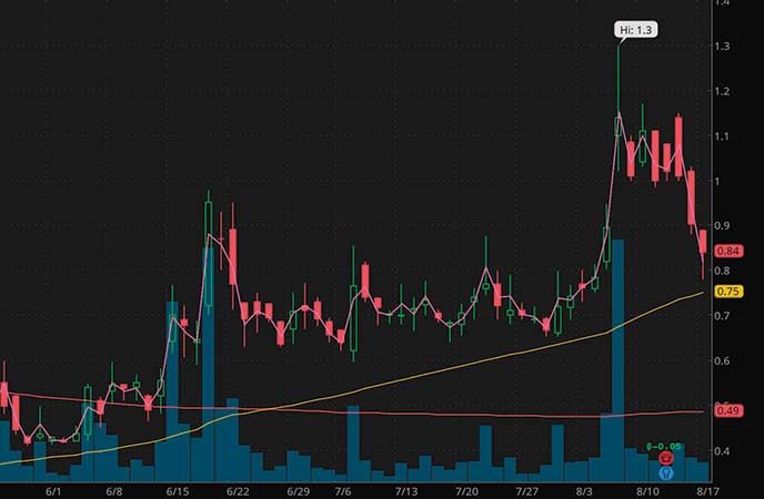 Looking For Penny Stocks To Buy? 4 Trading Higher This Week