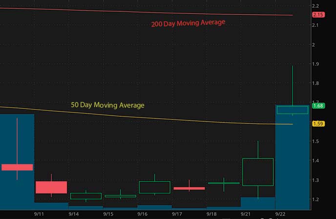 3 Penny Stocks To Buy & 1 To Hold According To These Analysts