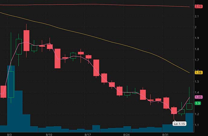 Penny Stocks To Buy vs Blue Chips; Where Do You Stand On These 3?