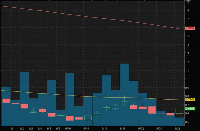 4 Penny Stocks To Buy For Under $3 Today; Are They Worth It?