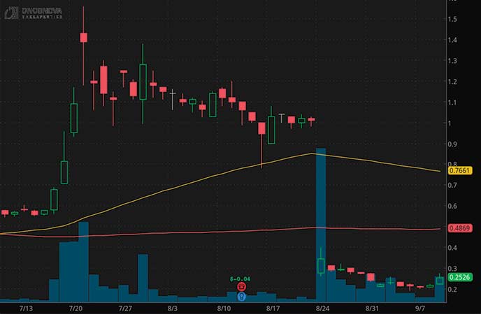 4 Penny Stocks To Watch In September 2020; 1 Up Over 50% In Q3
