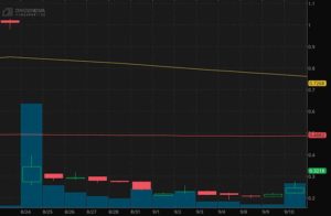 Looking For Penny Stocks Under $1 On Robinhood? 3 Names To Know