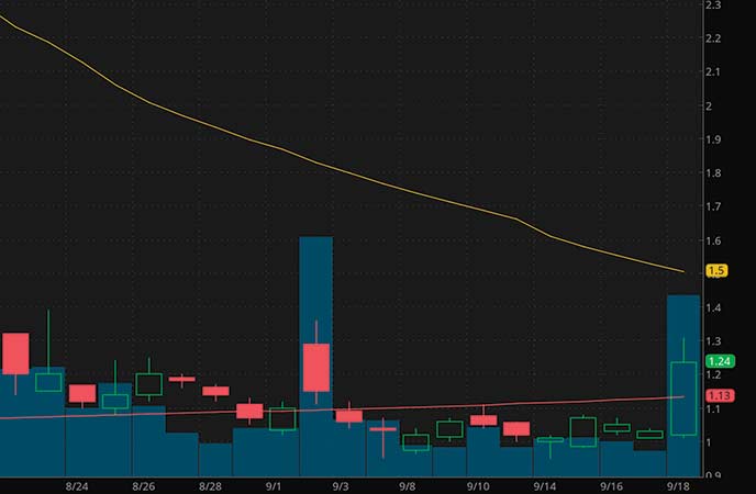Top Penny Stocks To Watch; 3 Premarket Movers For Your List Today