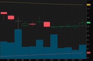 Top Penny Stocks To Watch; 3 Premarket Movers For Your List Today