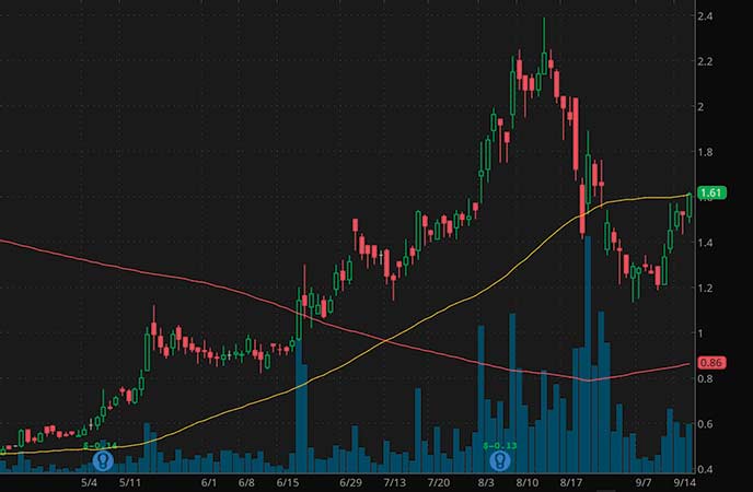 Top Penny Stocks To Watch; 3 Premarket Movers For Your List Today