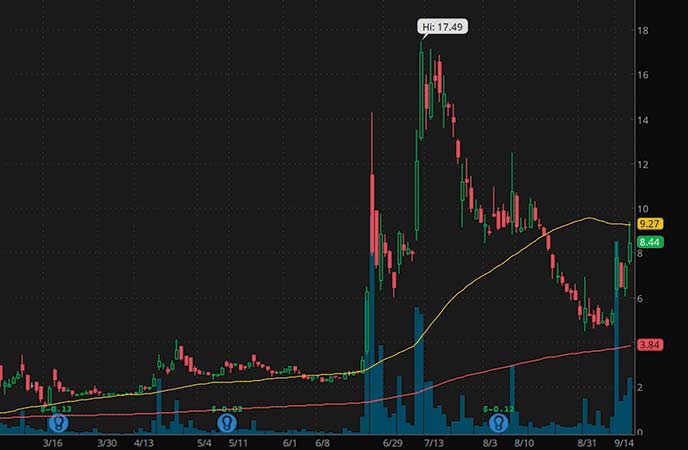 Are Penny Stocks Worth It? 5 That Hit It Out Of The Park In 2020