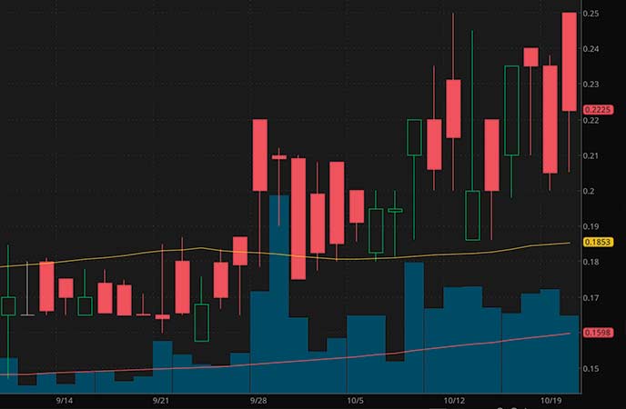 4 Biotech Penny Stocks To Watch Before The End Of The Week