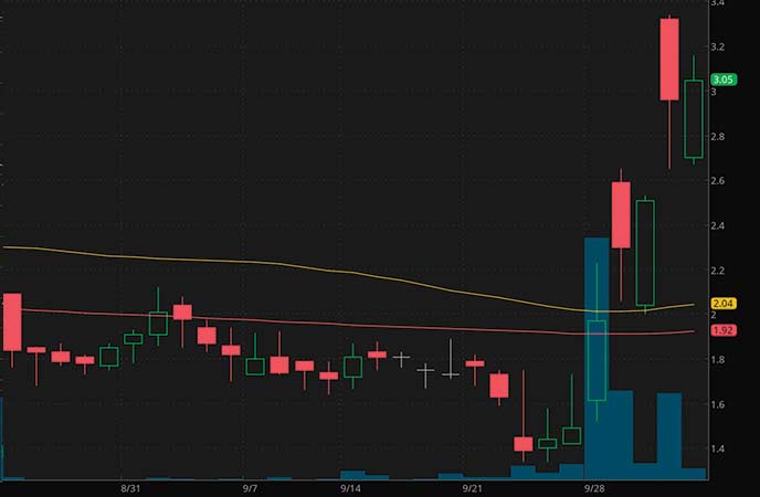 Should You Buy These Penny Stocks Today? 5 Up Big In October 2020