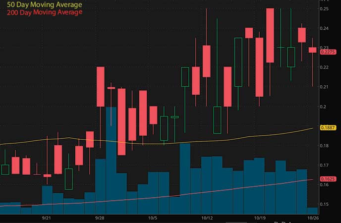What Are The Best Penny Stocks To Watch Today? 3 Biotechs To Know