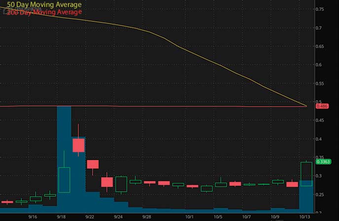 6 Penny Stocks Under $1.50 To Watch Before The Opening Bell