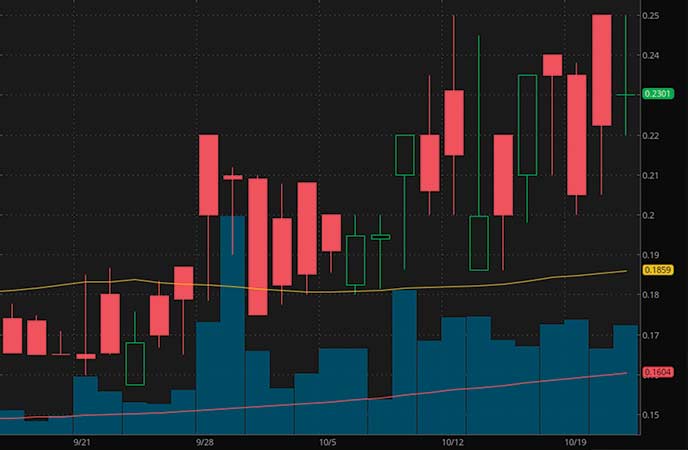 4 Top Penny Stocks To Watch Right Now; 2 Up Over 50% This Week
