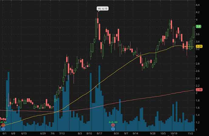 Looking For Top Penny Stocks To Buy Now? 5 Marijuana Stocks To Watch