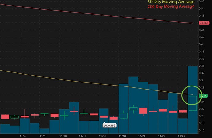 What Are The Best Penny Stocks To Buy Right Now? 3 Under $3 To Watch