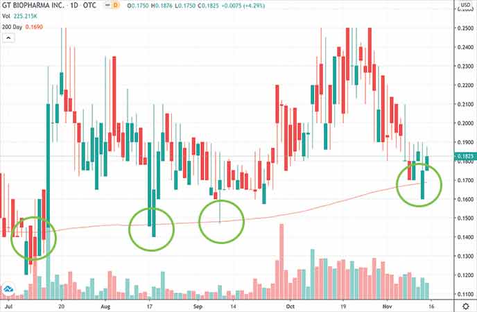 4 Biotech Penny Stocks to Watch This Week After Key November Updates