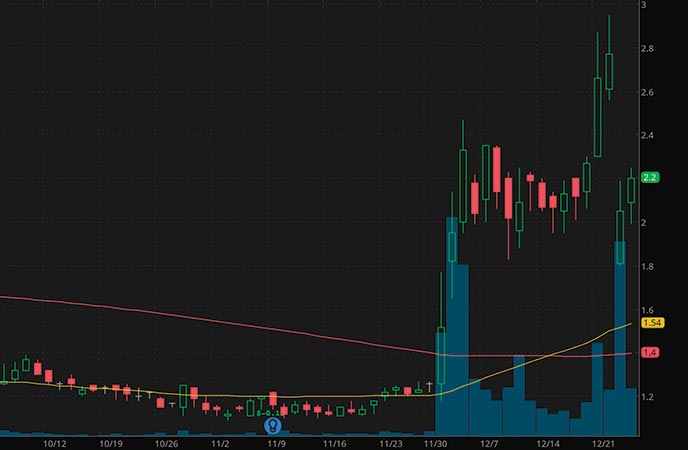 Top Penny Stocks To Watch Before 2021 If You Like Biotech Stocks