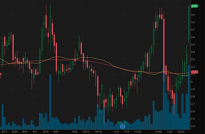 Top Penny Stocks To Watch If You’re Looking For Biotech Stocks