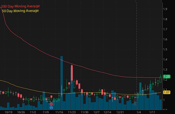 Best Penny Stocks To Buy Under $1.50? 5 Up Big In January 2021