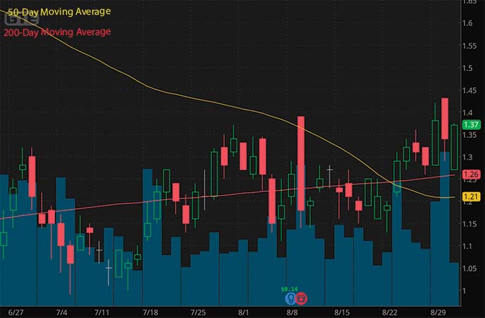 Top Penny Stocks To Watch Before September 2022