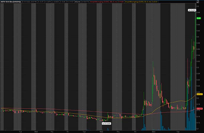 Top Penny Stocks to Watch After the Market Crash