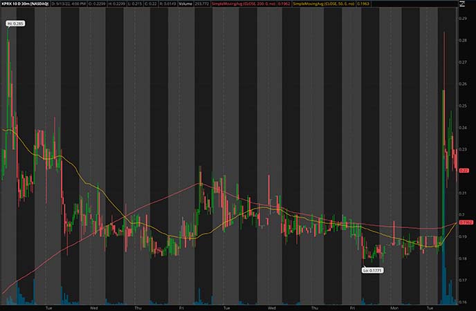 Top Penny Stocks to Watch After the Market Crash