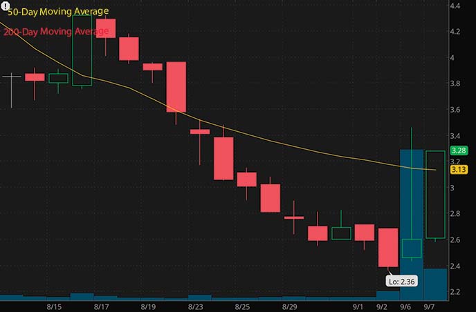 4 Penny Stocks Making A Comeback In September, Time To Buy?