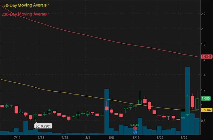 4 Penny Stocks To Watch For September 2022