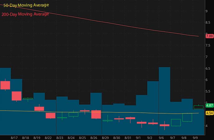 These Short Squeeze Penny Stocks Are Exploding This Week, Time To Buy?