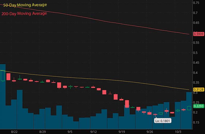 5 Top Energy Penny Stocks To Watch After OPEC Production Cut News