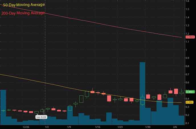 7 Hot Penny Stocks Under $1 To Watch For February 2023
