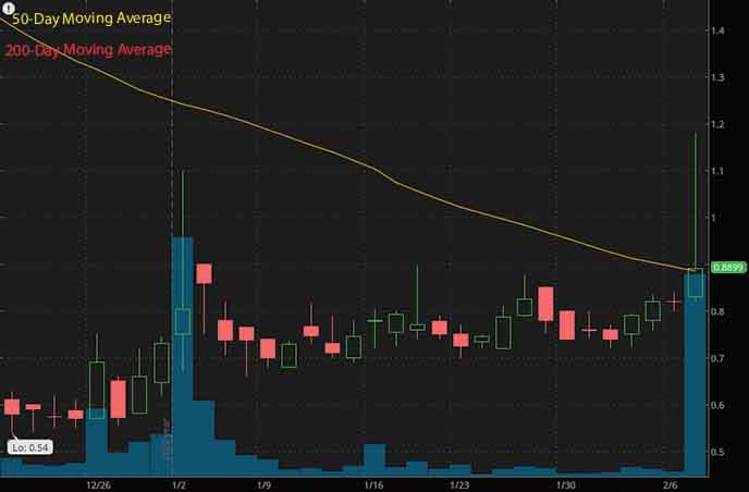 7 Hot Penny Stocks Under $1 To Watch For February 2023